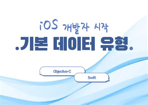ios 개발 6 swift 기본 데이터 유형 int double string bool 이해하기 human stories