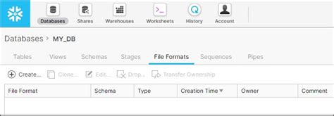 Snowflake File Formats ThinkETL Snowflake File Formats ThinkETL
