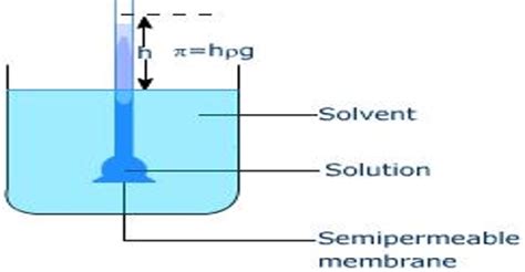 Determination Of Osmotic Pressure By Modern Methods QS Study
