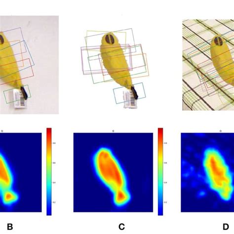 Figure Grasp Detection Results On Images With Various Kinds Of Download Scientific Diagram