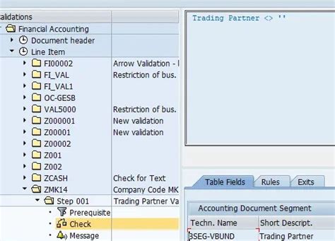 SAP Finance Validations