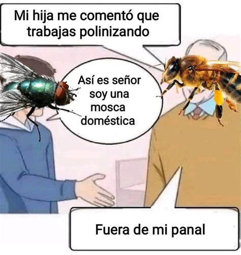 Los Últimos Memes Memedroid