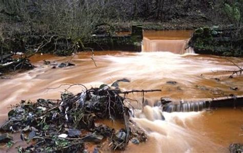 Contaminacion Del Agua Chinorrios