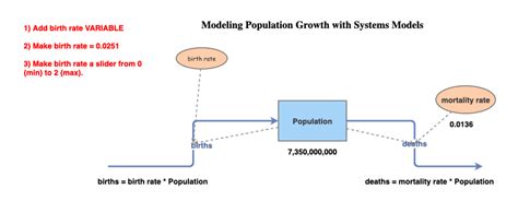 Clone Of Simple Population Growth Insight Maker