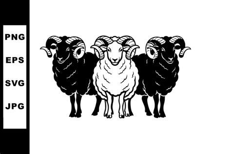 Three Rams Black And White Vector Illustration With Horns An
