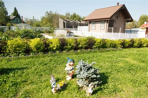 За неправильно посаженные на даче деревья и кустарники могут оштрафовать нарушителем может