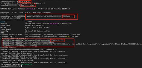 Idea本地连接oracle数据库的配置设置 贾彤 博客园