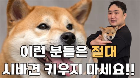 이런 분들은 절대 시바견 키우지 마세요 이웃집 훈련사 대표 오윤성 훈련사 시바견 성격 시바견 특성 시바이누 시바견 입양 Youtube