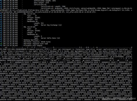 心脏滴血漏洞详解及利用 Heartbleed With Opensslopenssl漏洞 Msf利用 Csdn博客