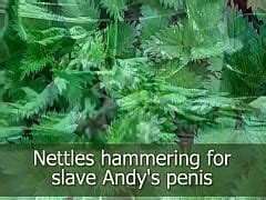 Stinging Nettles Hammering Penis Dare By Slave Andy Xxx Mobile Porno Videos Movies IPornTV Net