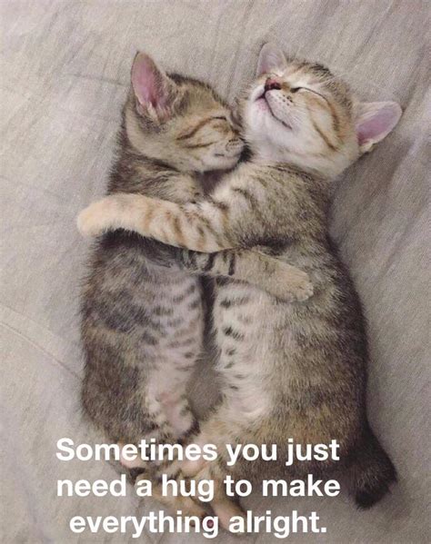 Wholesome Hug R Wholesomememes Wholesome Memes Know Your Meme