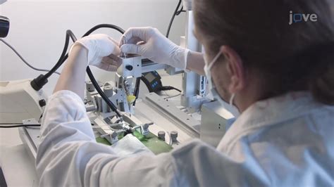 Video Recording Brain Electrical Activity In Behaving Mice Using Multi Shank Linear Silicon