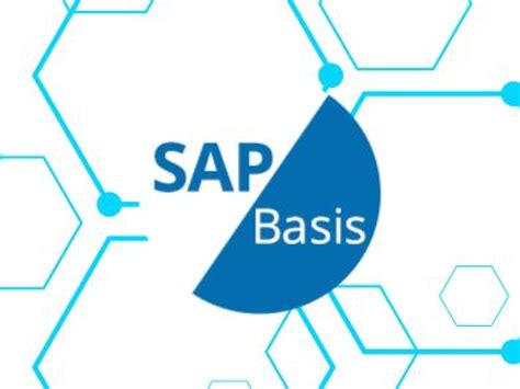 Sap Basis Certification Training Course Online 100 Job Assistance Best Price ️