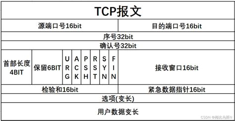 传输层协议ncp协议 Csdn博客
