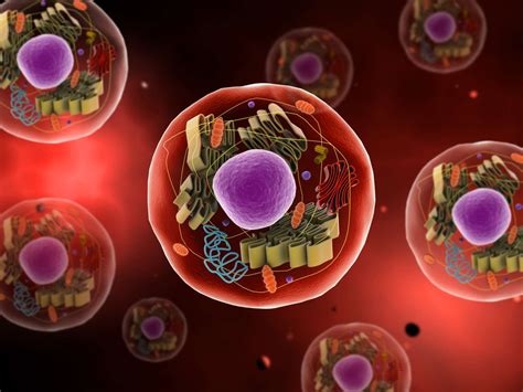 First Eukaryotic Cells On Earth