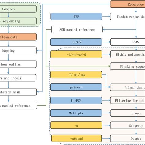 Proposed Multiplexssr Pipeline Workflow The Pipeline Takes