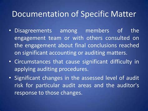 Audit Documentation Presentation Pptx