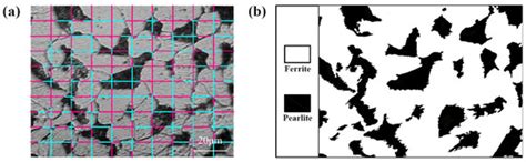 Materials Special Issue Multiscale Characterization And