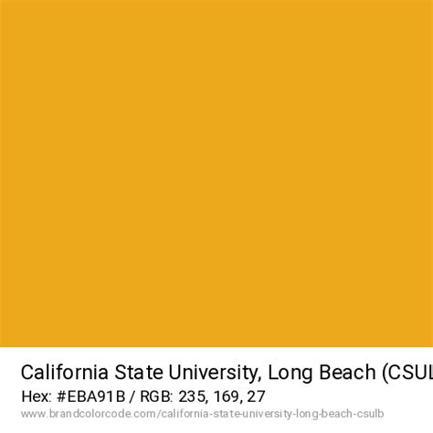 California State University Long Beach Csulb Brand Color Codes