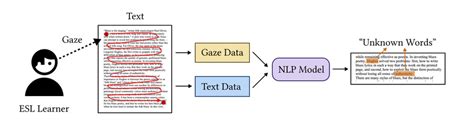 gazereader collects gaze data and text information and uses a