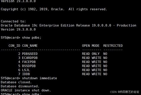 【oracl 19c 时区版本升级dstv32 Dstv43（ora 39405）】43补丁 Csdn博客