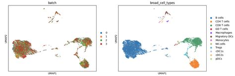Scrna Seq Batch Correction For Destvi Scvi Tools Scverse