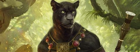 Dnd 5e Tabaxi Race Abilities And Names Explained