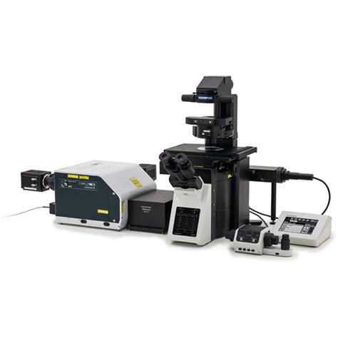 Spinning Disk Confocal Microscopy Sdcm Eisenberg Bros Ltd