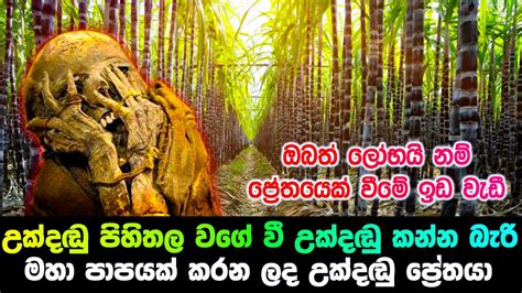 උක්දඩු පිහිතල වගේ වී කන්න බැරි පාපයක් කරපු උක්දඩු ප්‍රේතයා Youtube