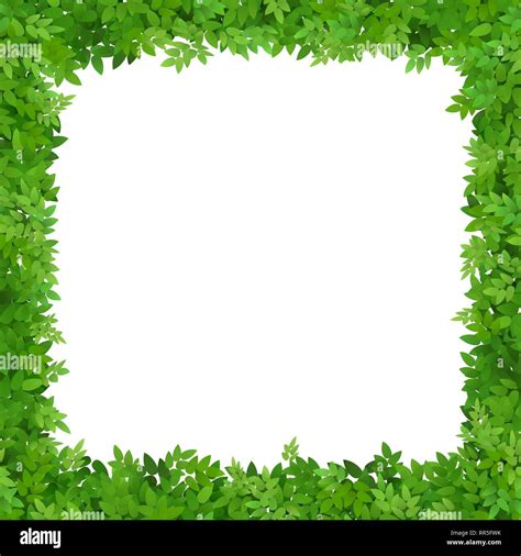 Border Frame Branch Leaves Stock Vector Images Alamy