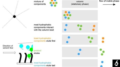 Reversed Phase Chromatography Principle Protocol Applications Biology Notes Online