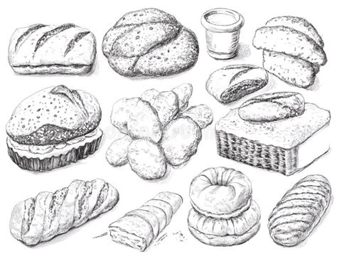 Detailed Hand Drawn Vector Illustration Of A Various Types Of Baker