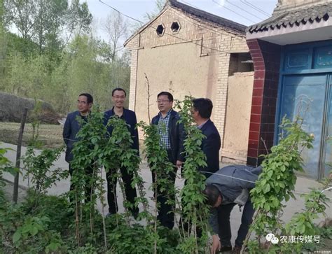 甘肃康乐县马歪歪 康乐县马歪歪 甘肃康乐县 大山谷图库