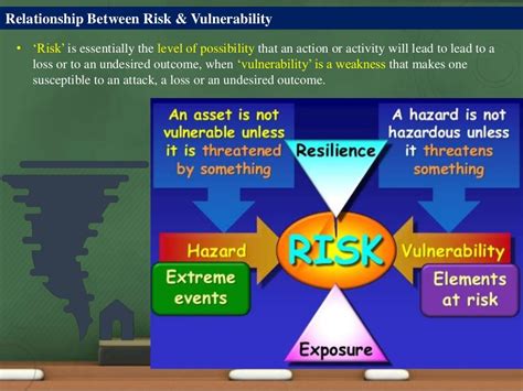 Disaster Vulnerability Risk And Capacity