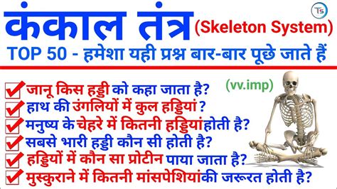 TOP Skeleton System ककल ततर in Hindi Topic Wise Complete Science GK YouTube