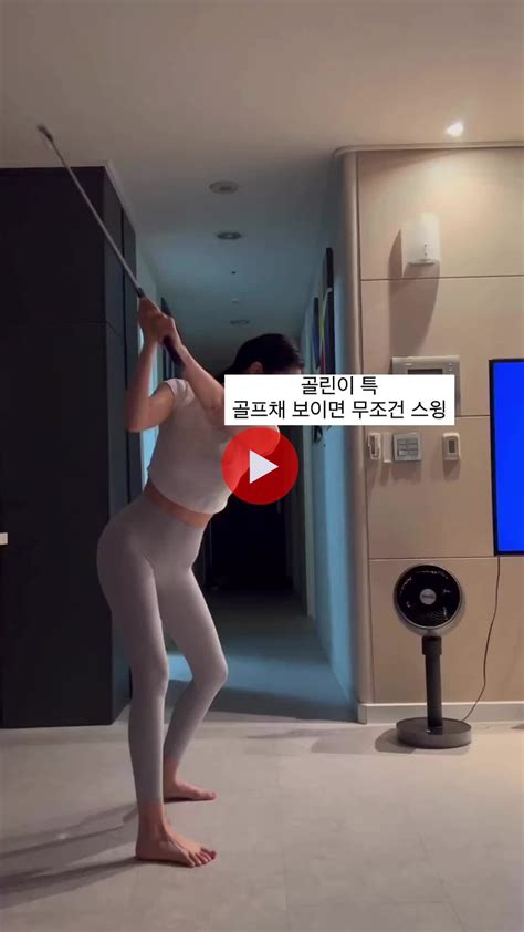 집에서 골프 연습 유머 움짤 이슈 에펨코리아