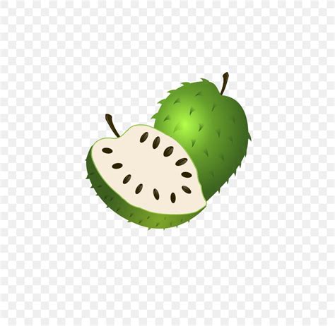 Soursop Colombian Cuisine Clip Art Png 566x800px Soursop Apple