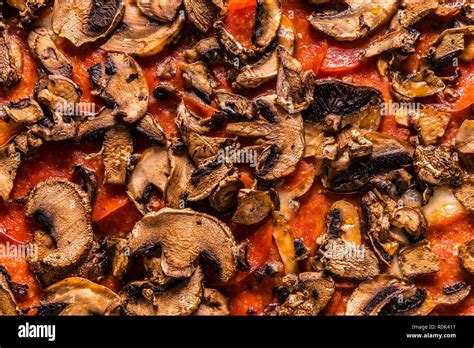 New York Style Pepperoni Mushroom Pizza On Wooden Cutting Board Stock