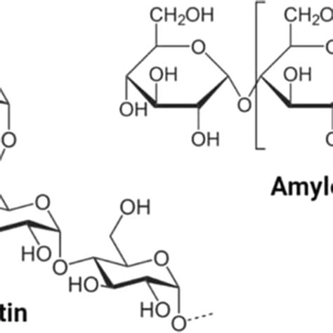 Chemical Structure Of Amylose And Amylopectin Download Scientific Diagram