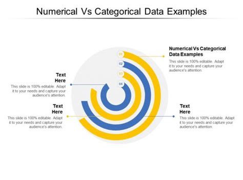 Numerical Vs Categorical Data Examples