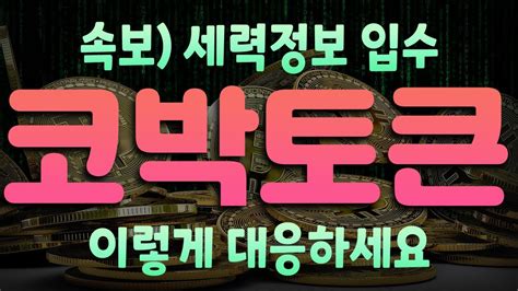 코박토큰코인대응전략 코박토큰차트분석코박토큰전망코박토큰목표가코박토큰매수가코박토큰매도가비트코인알트코인블랙록sec