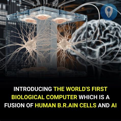 Likenow Vcortical Labs Cl1 A Revolutionary Biological Computer