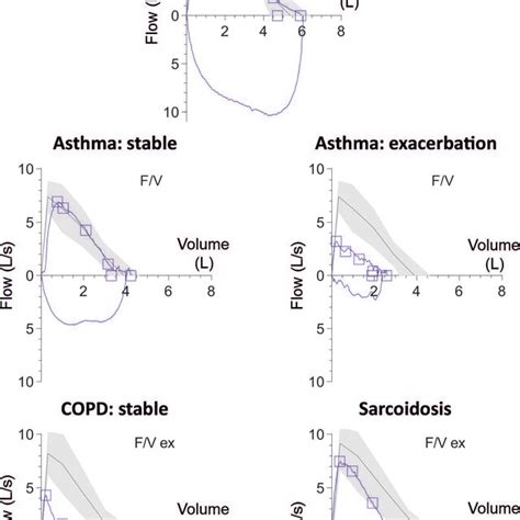 The Lung Functional Test In Copd Asthma Asthma With Exacerbation And Download Scientific