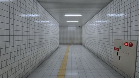 The Exit 8 Walkthrough Complete Game Guide The Exit 8 Walkthrough Complete Game Guide