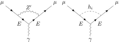 Feynman Diagrams For One Loop Corrections To The Muon G − 2 With Extra Download Scientific