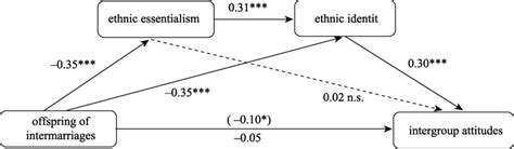 The Mediating Effect Of Chinese Nation Identity Download Scientific