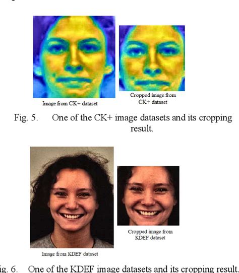 Figure 3 From A Method For Improving Alexnets Performance In The Area Of Facial Expressions