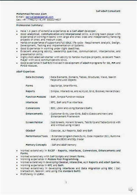 Technical Resume Format In Word