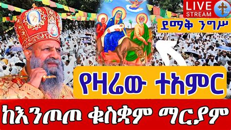 ⭕️live ንግሥ ኑ የዓመት ነው♦️ቀጥታ ከእንጦጦ መንበረ ንግሥት ቁስቋም ማርያም♦️ህዳር 6 Eotc Live From St Mary Nov 15