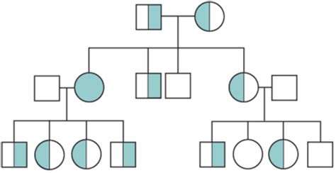 Genetic And Congenital Disorders Autosomal Recessive Disorders Part 2 Flashcards Quizlet